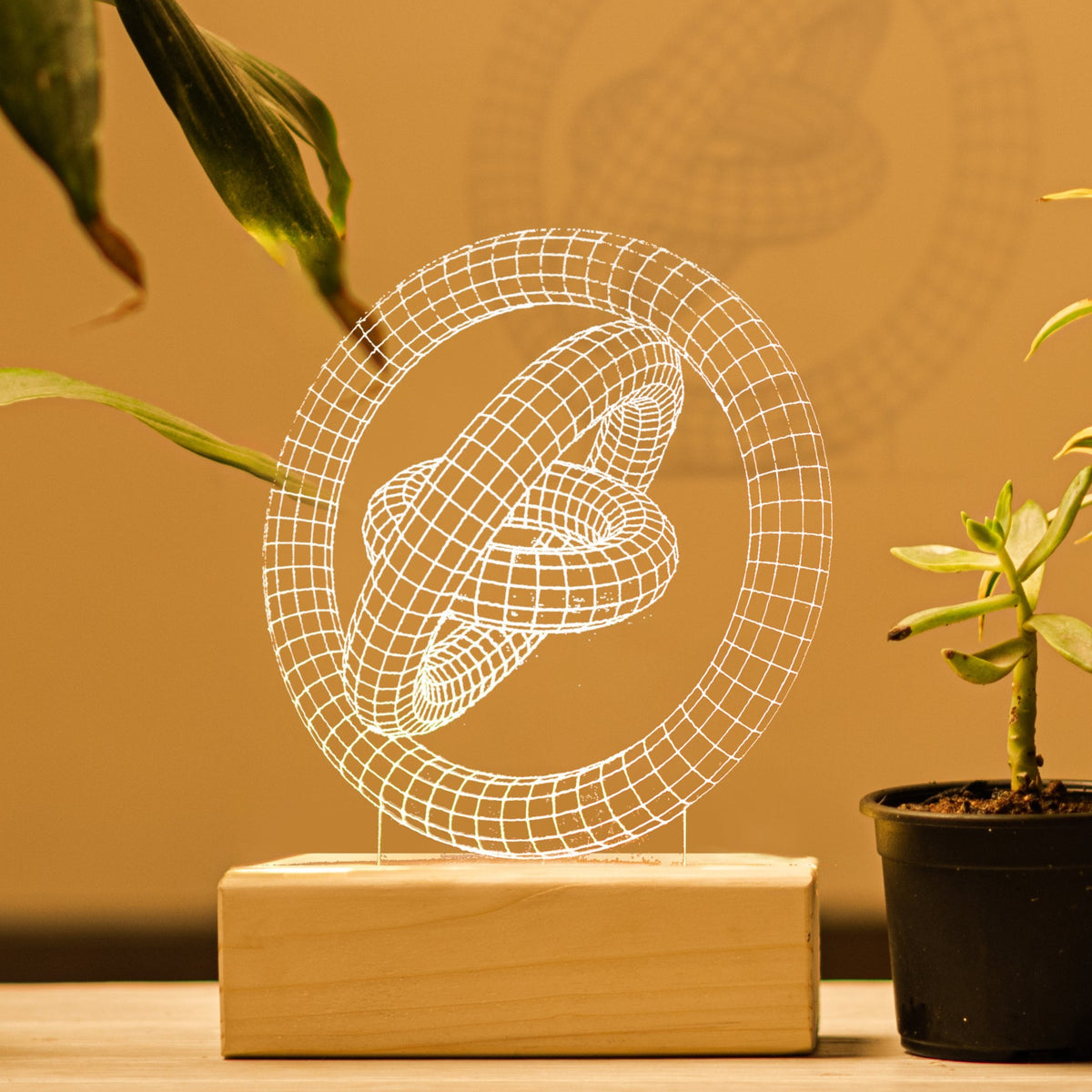 Axis - Lamp – TangyOak